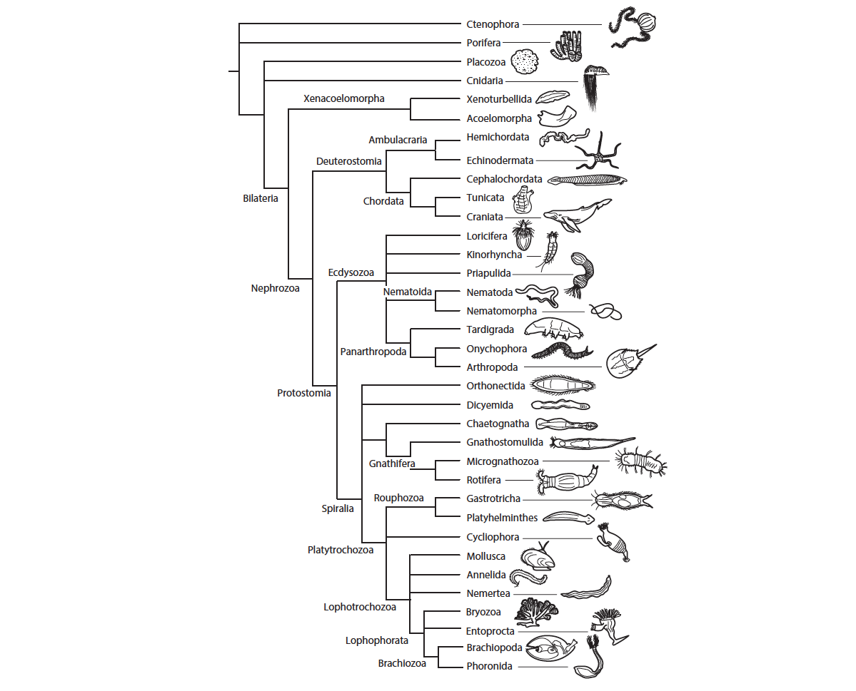 2022-2-25373-A-Presencial